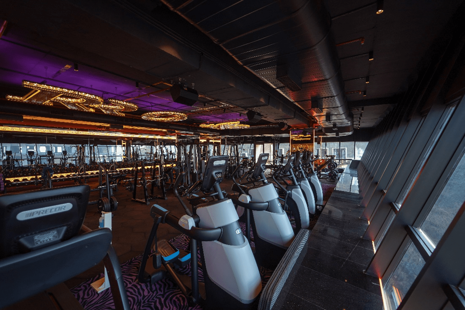 Designing the future of fitness - Society Interiors & Design